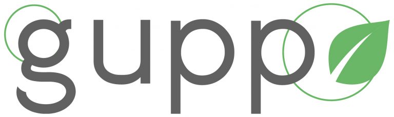 GUPP- Αναβάθμιση δεξιοτήτων για την προώθηση των Πράσινων Δημοσίων ...